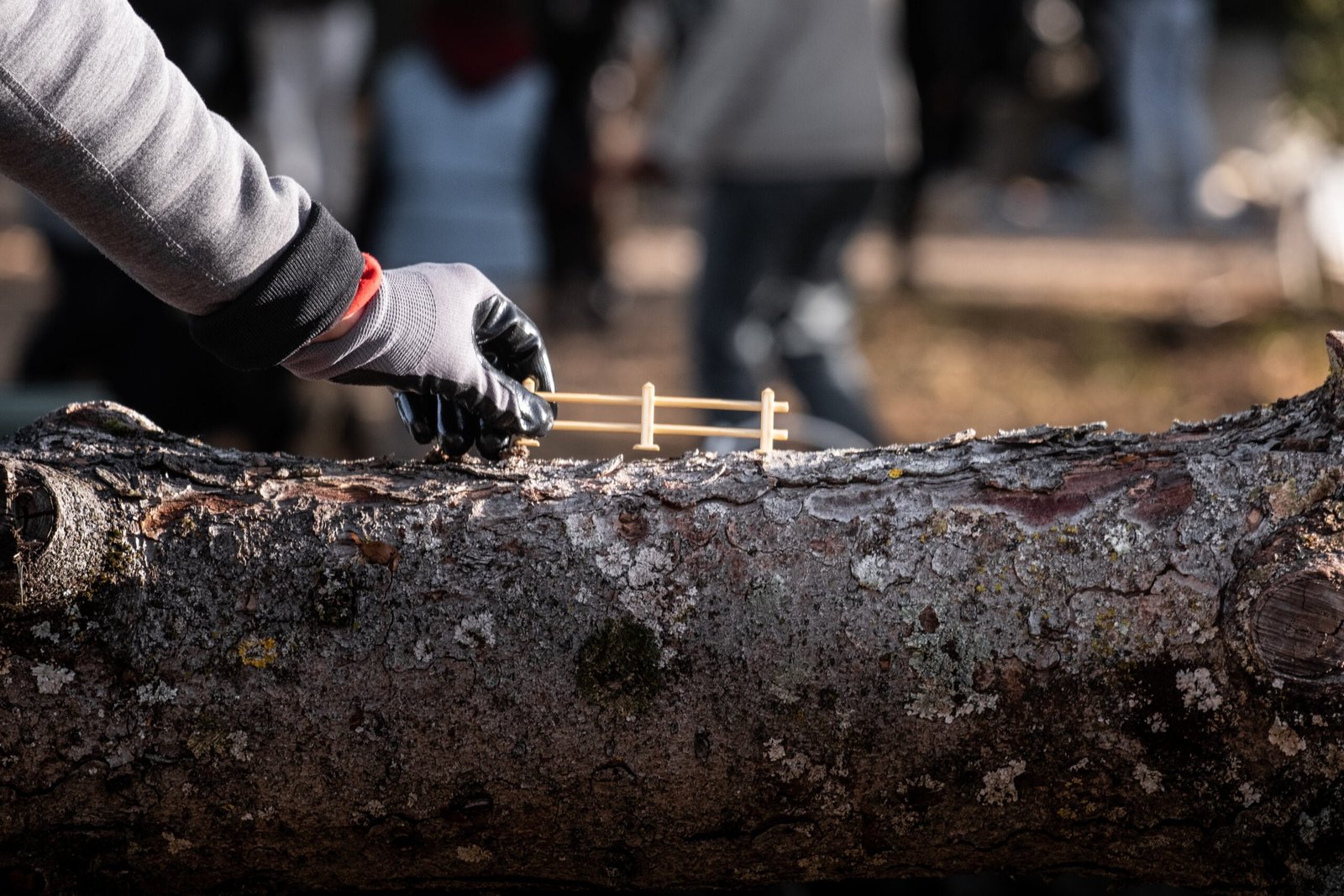 « ZAD partout » ou ZAD nulle part,une affaire de médias - Engrainage
